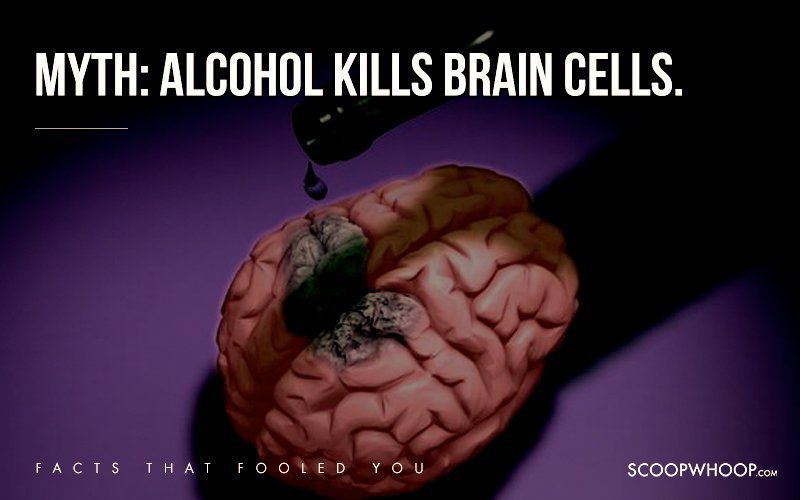 25 Common Myths That We Thought Were Facts But Are Actually False